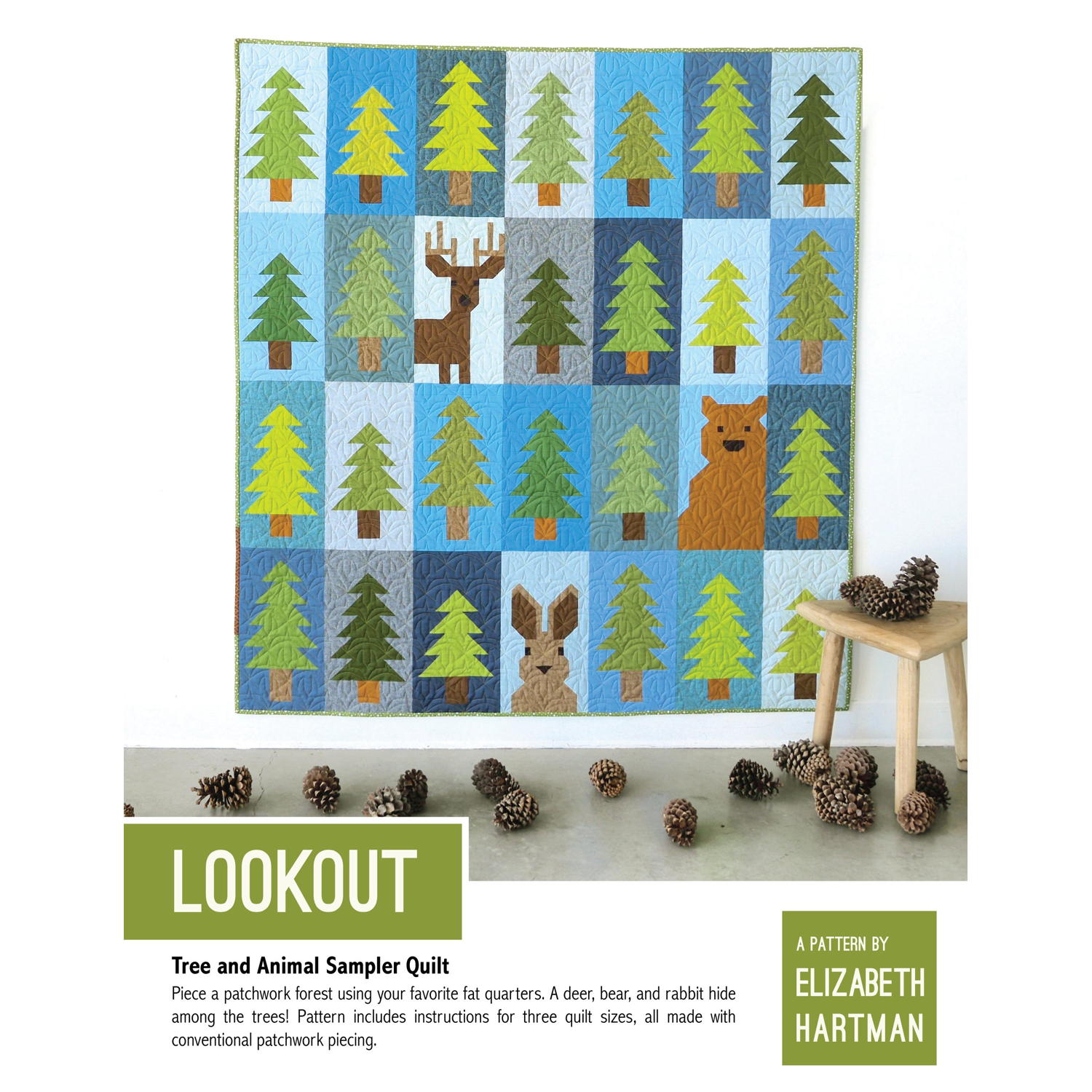 Lookout Quilt Pattern Elizabeth Hartman – Stitchin' Post