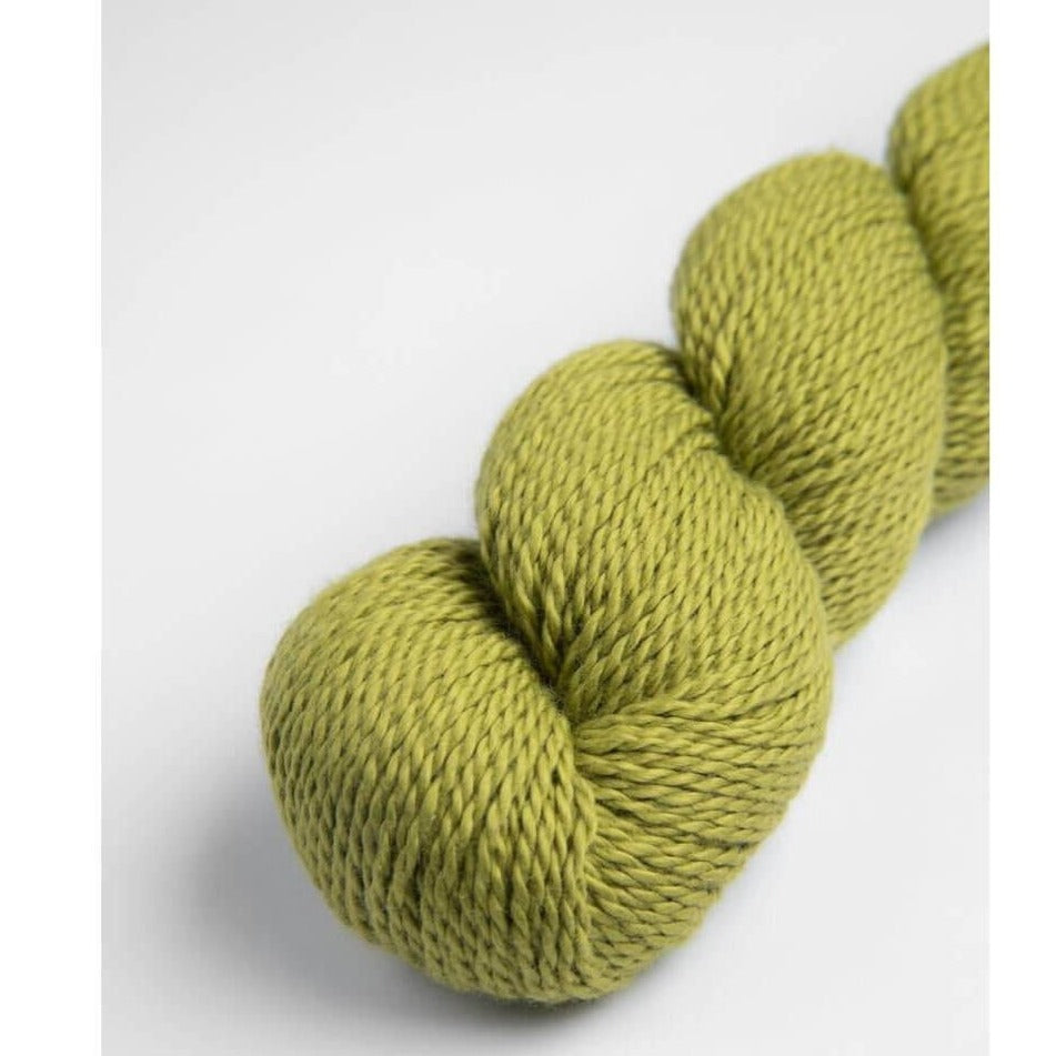 Sami 100% Cotton Yarn by Amano 1804 Moss – Stitchin' Post